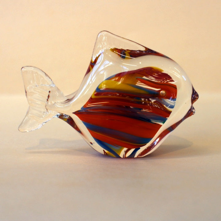 Glass Fish – Nimmo Photography, Gallery & Store